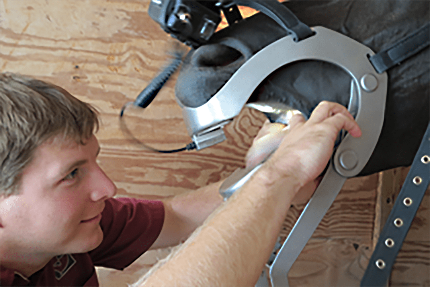 Get to Know More About Palm Beach Equine Clinic’s Dr. Tyler Davis ...