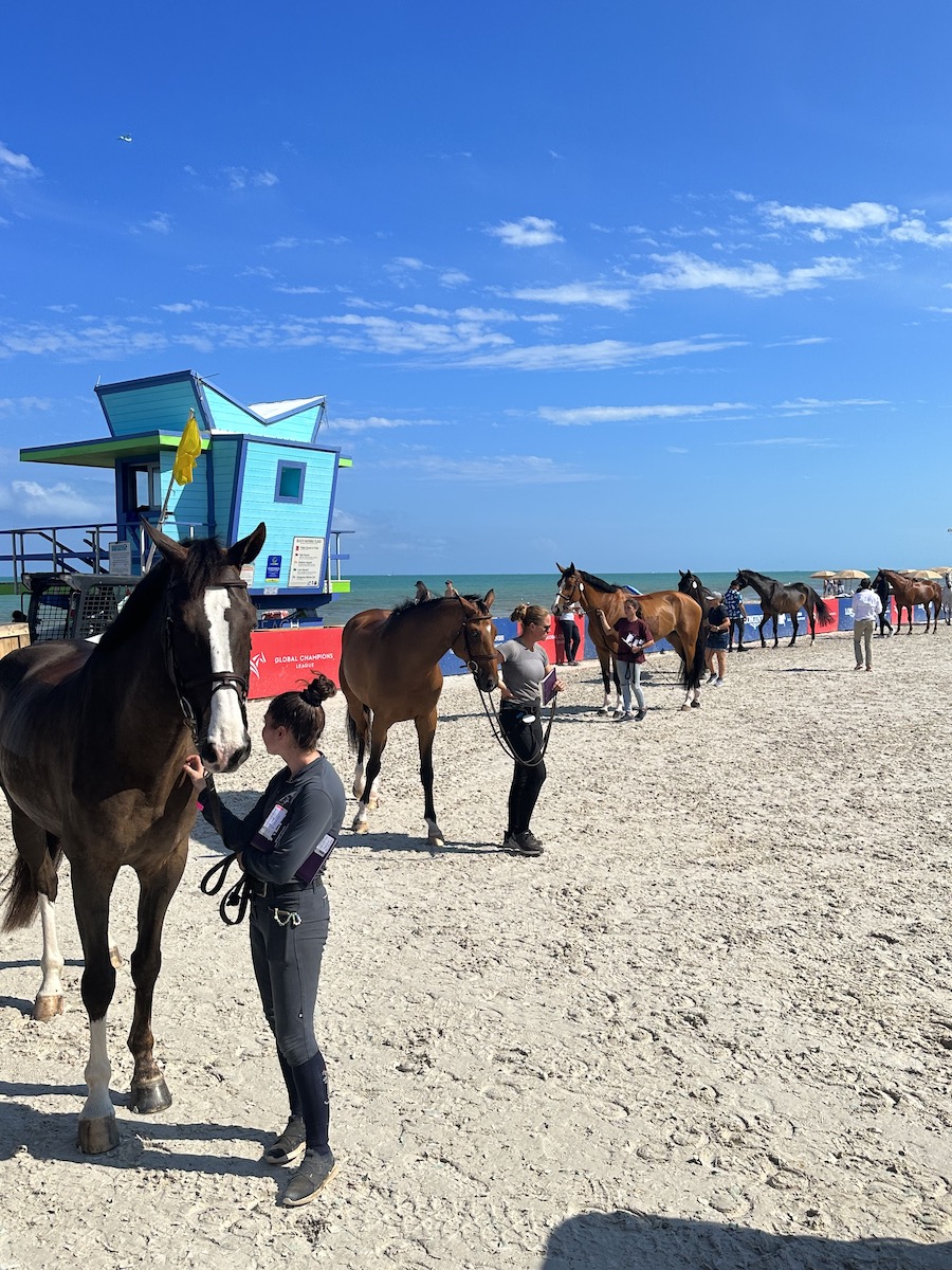 A Week in the Life of Palm Beach Equine Clinic’s Dr. Christopher ...