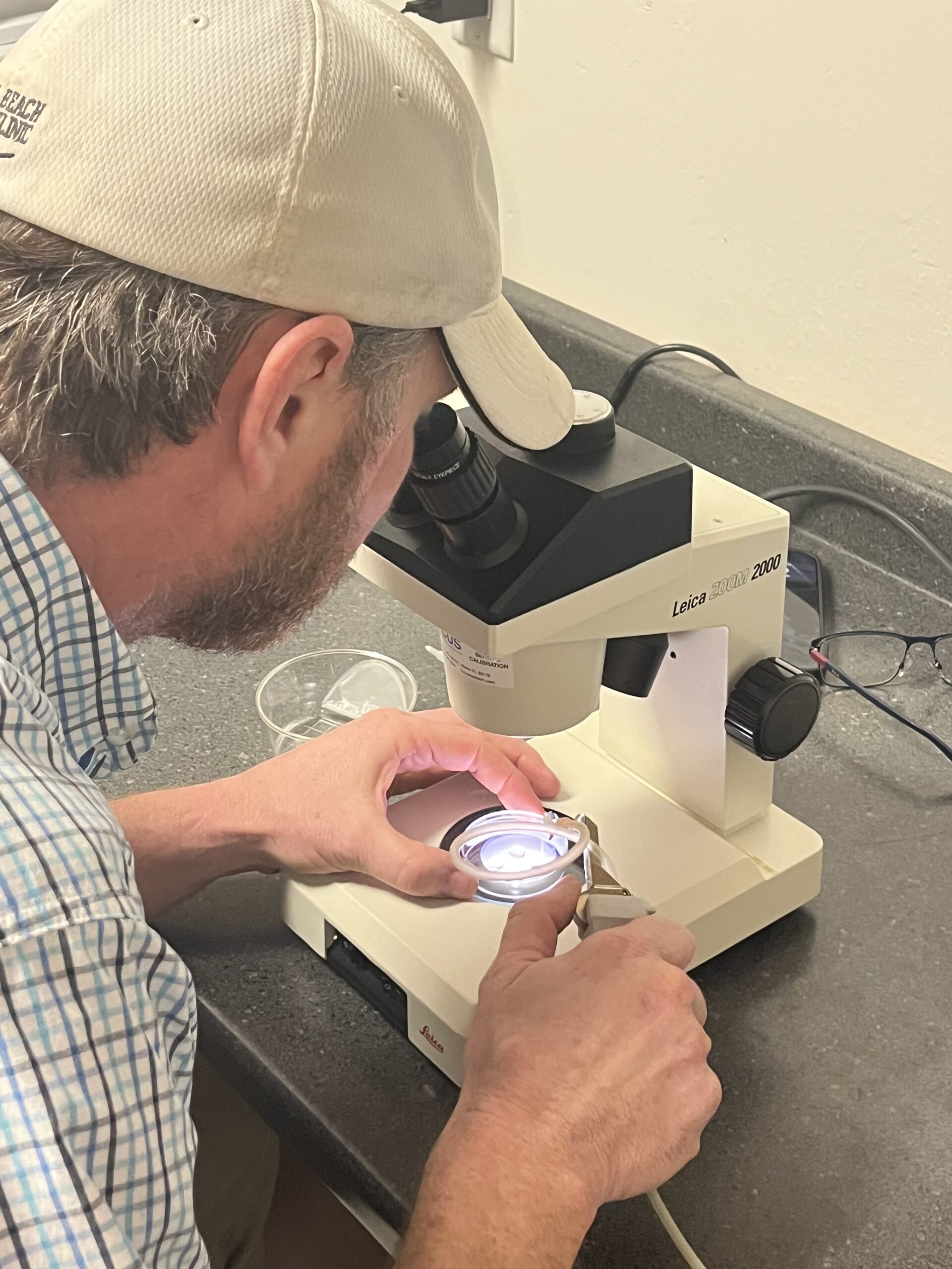 Embryo Transfer for Sport Mares: A Smart Breeding Solution – Palm Beach ...